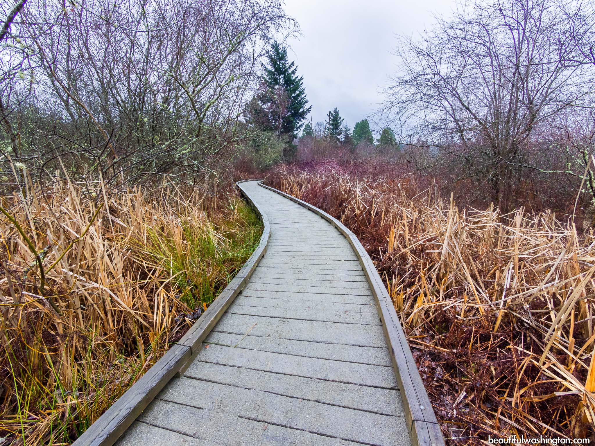 Mercer Slough Nature Park