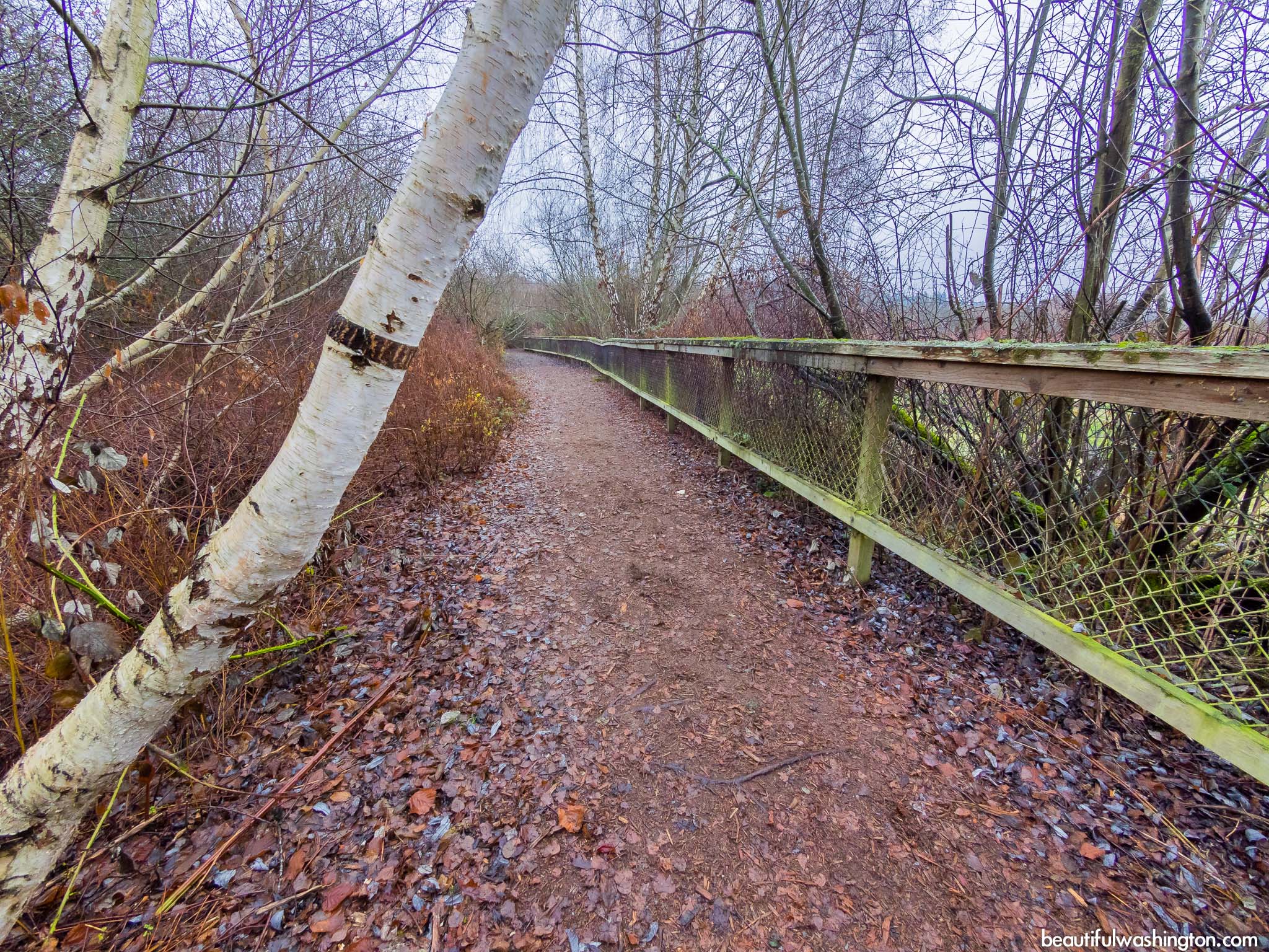 Mercer Slough Nature Park