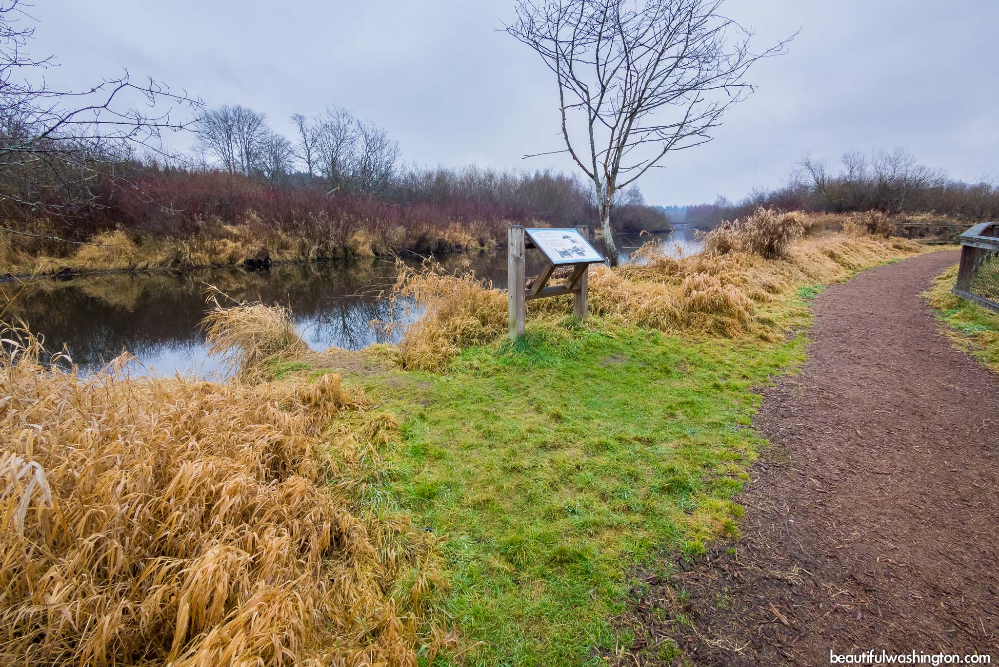Mercer Slough Nature Park