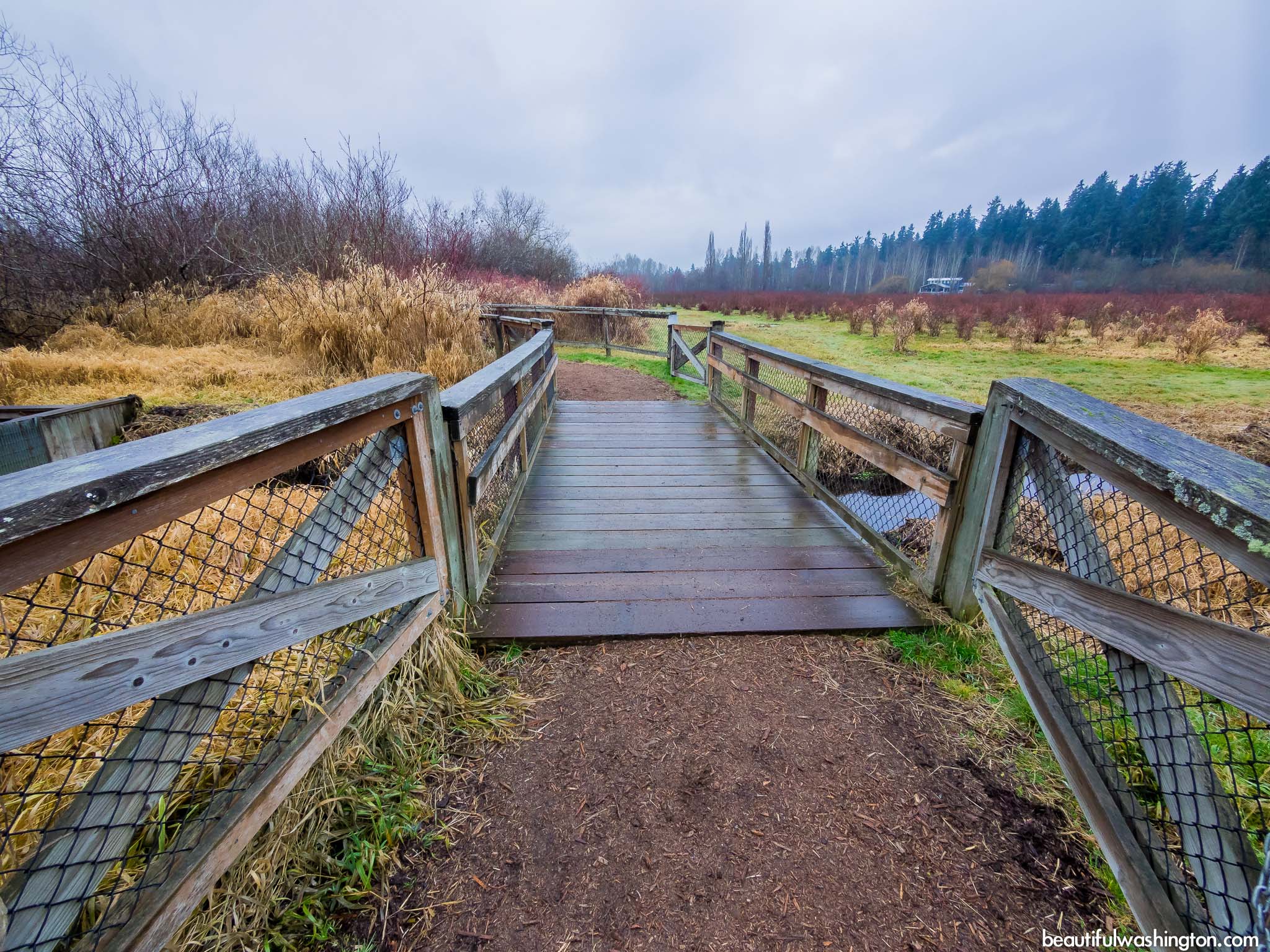 Mercer Slough Nature Park