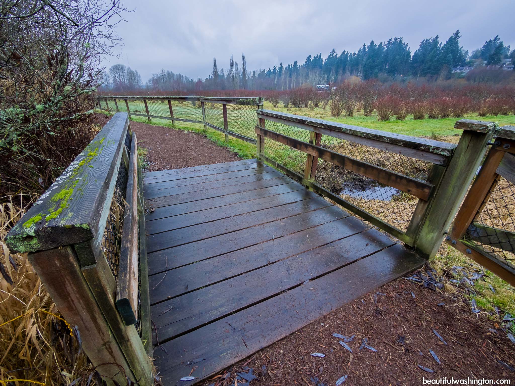 Mercer Slough Nature Park