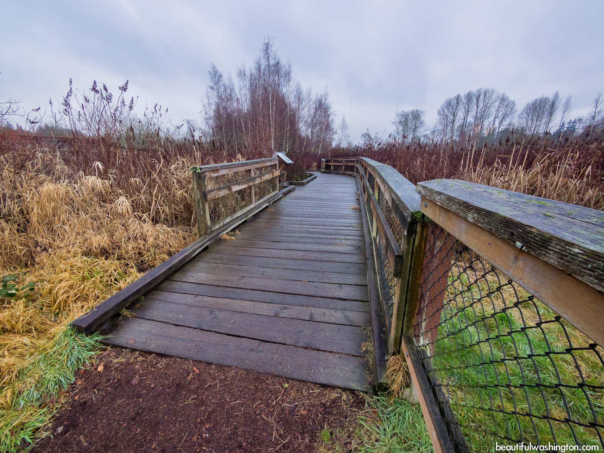 Mercer Slough Nature Park
