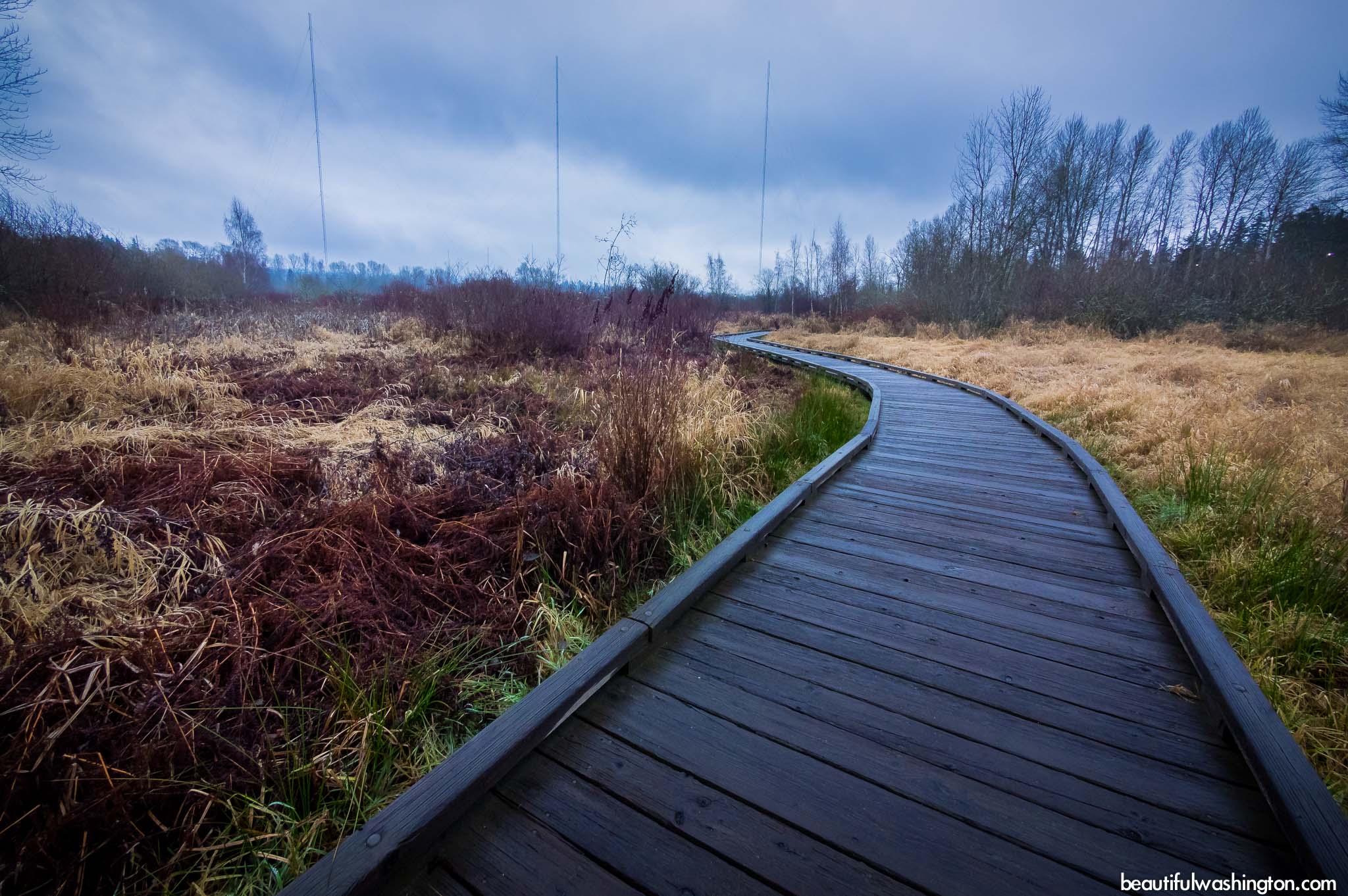 Mercer Slough Nature Park