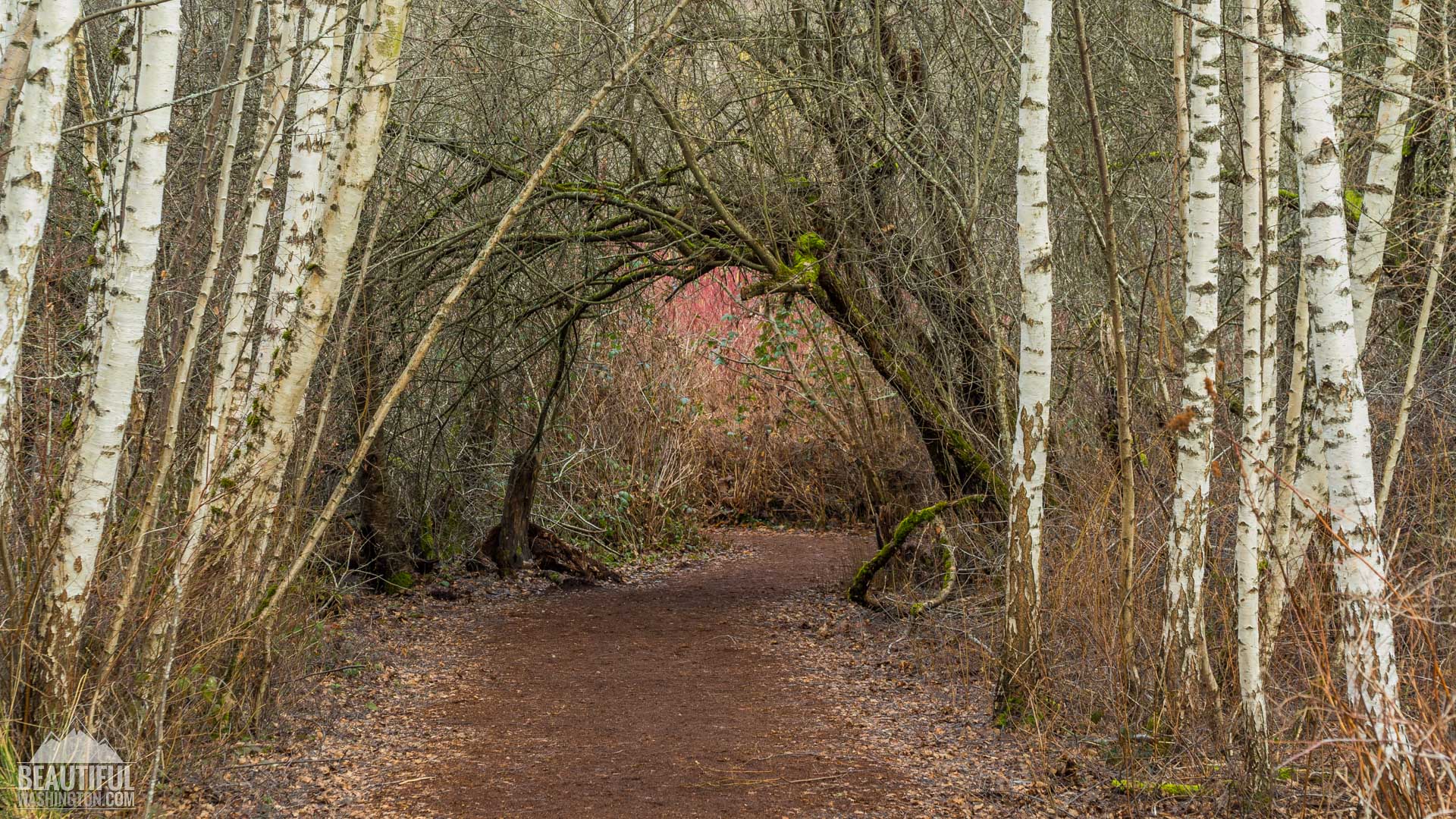 Mercer Slough Nature Park