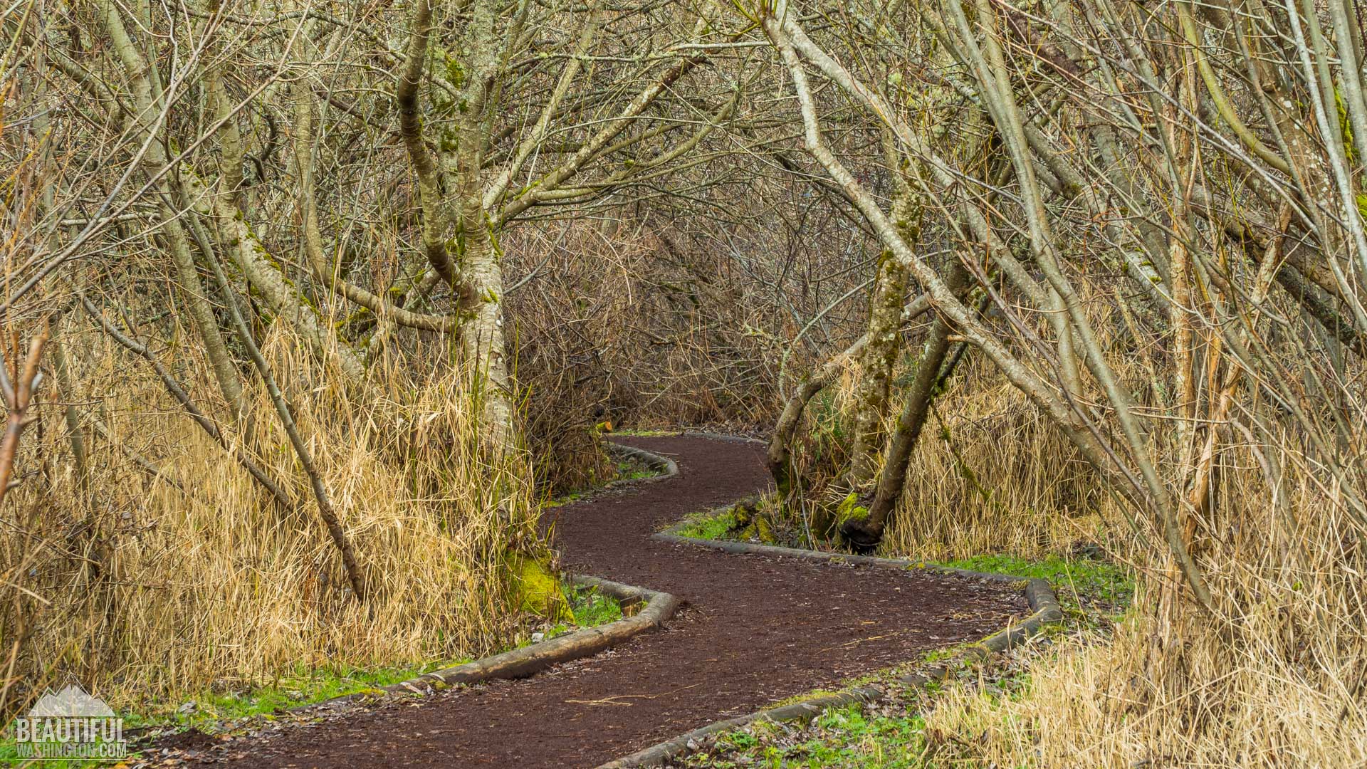 Mercer Slough Nature Park