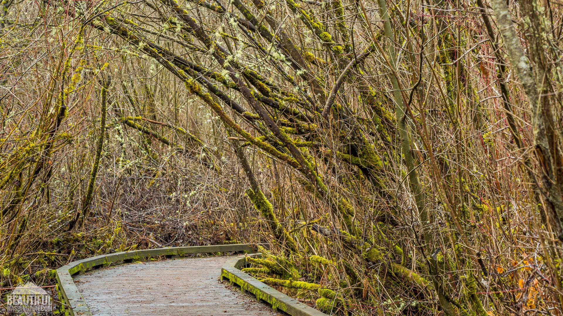 Mercer Slough Nature Park