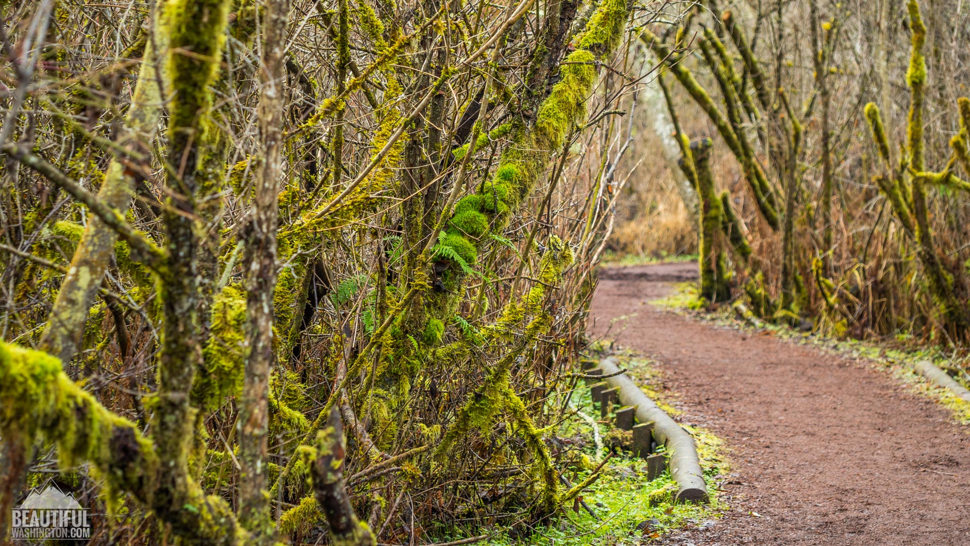 Mercer Slough Nature Park