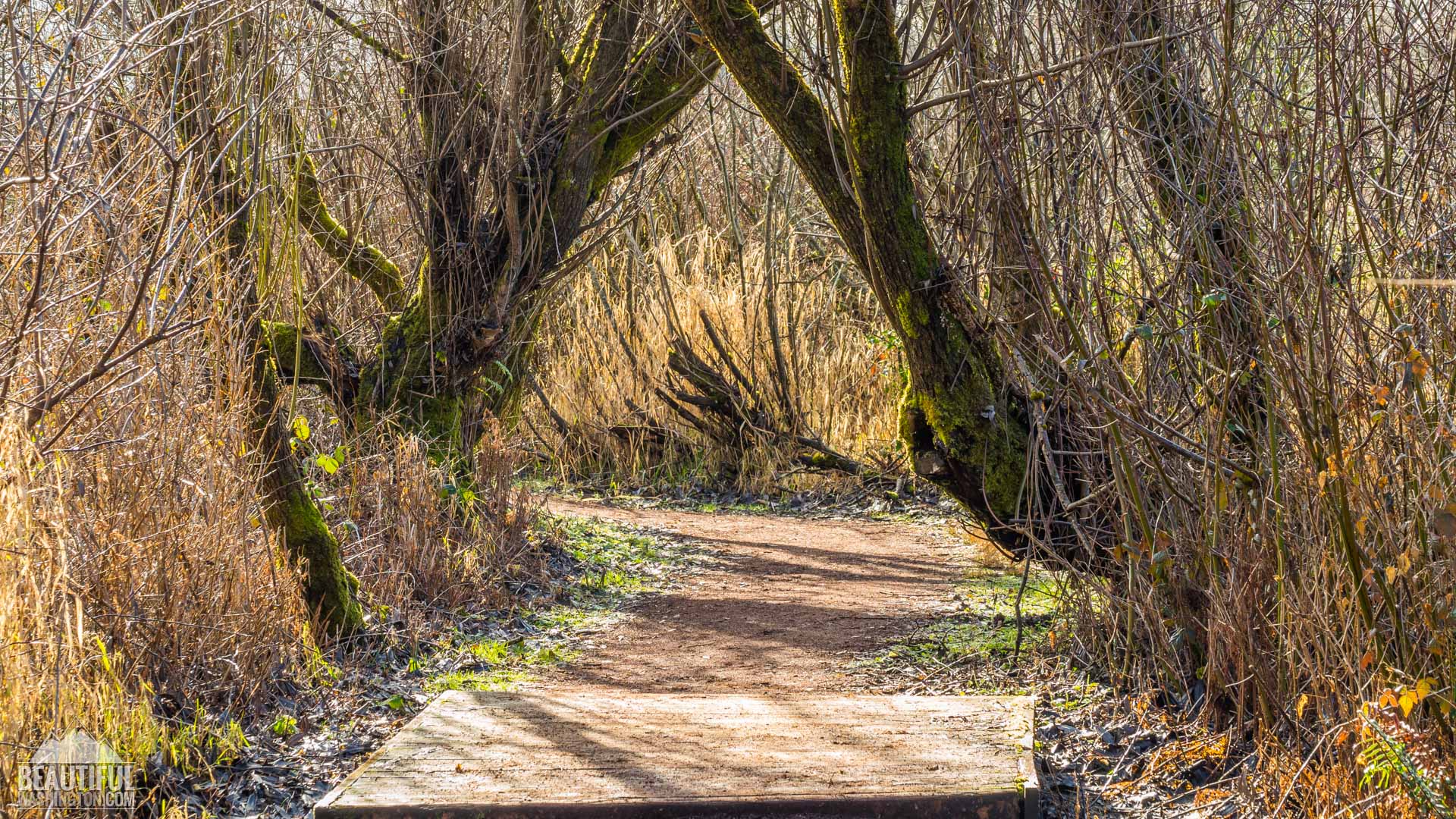 Mercer Slough Nature Park