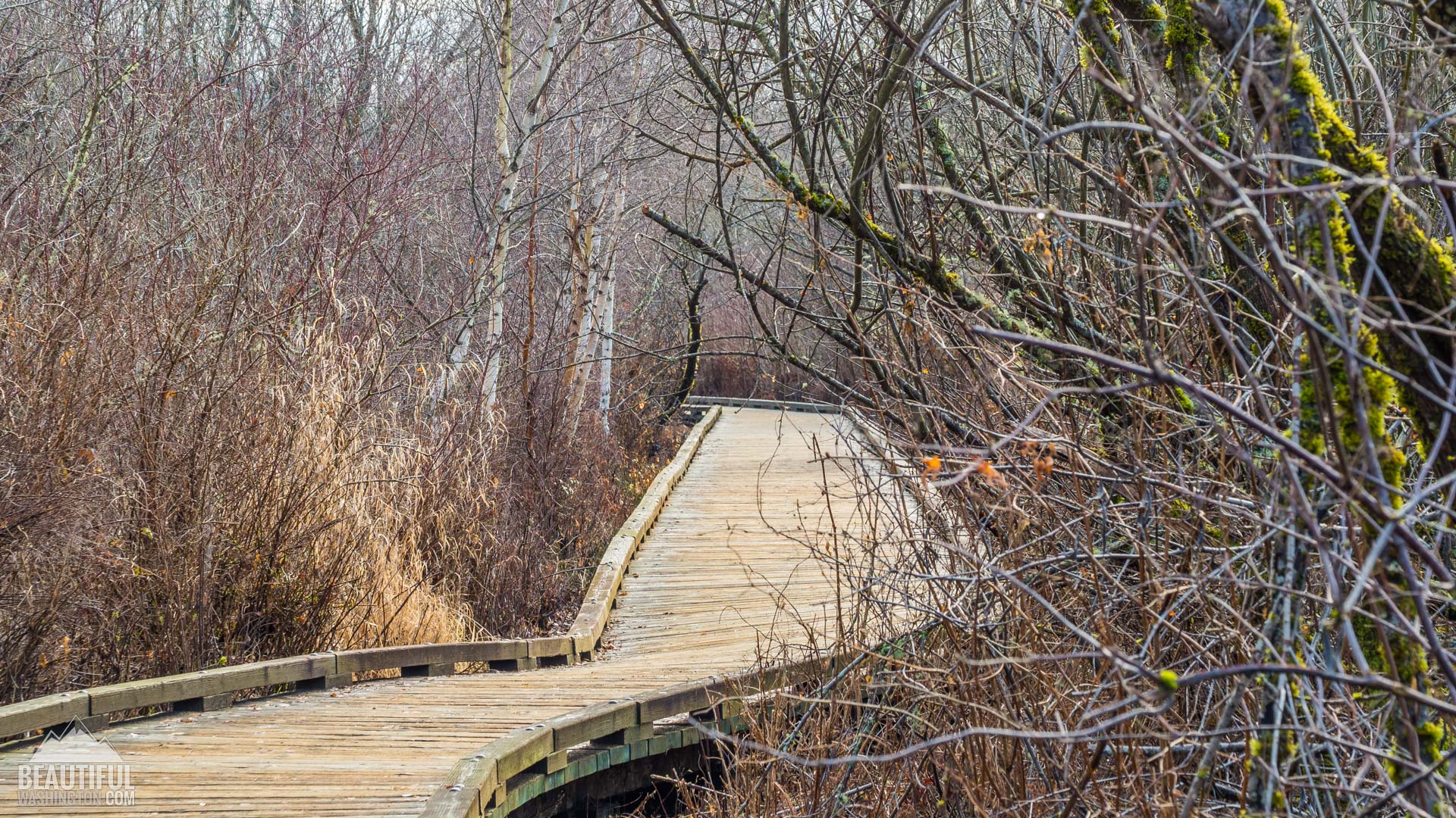 Mercer Slough Nature Park